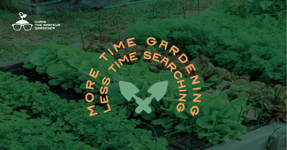 Your Go-To Resource for Gardening Tips and Tricks